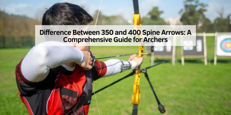 Difference Between 350 and 400 Spine Arrows: A Comprehensive Guide for ...