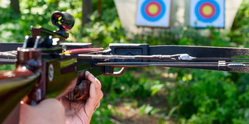 Conquering 100 Yards: My Quest for the Top Crossbow