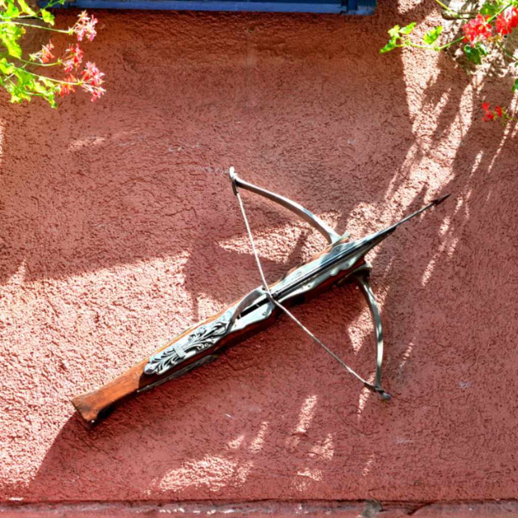 Different Crossbow Styles OSRS: Best Guide