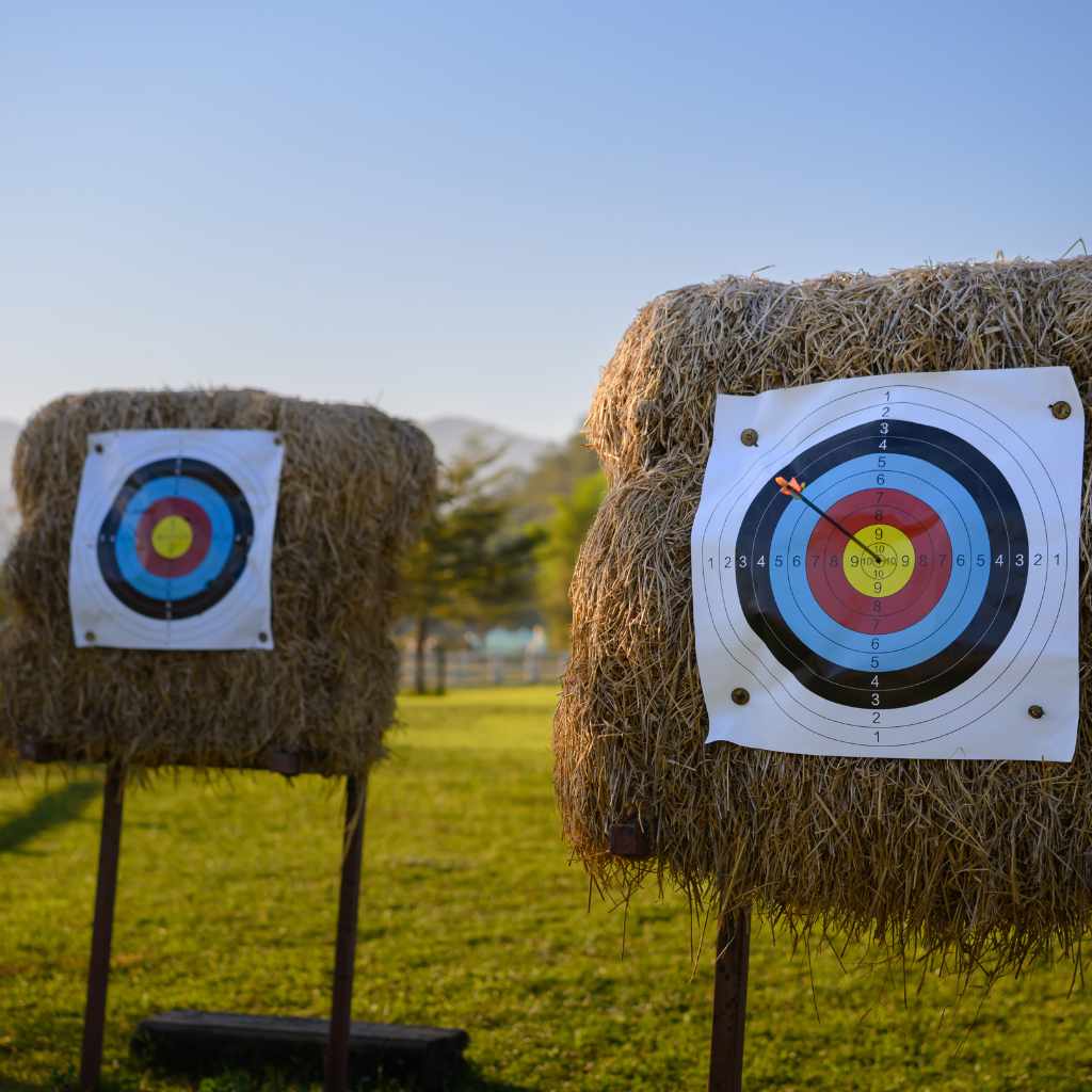 Are Big Shot Archery Target Reversible: Essential Guide