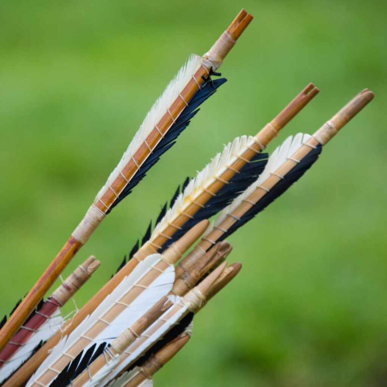 Different Color Fletching On Arrow: Proven Essential