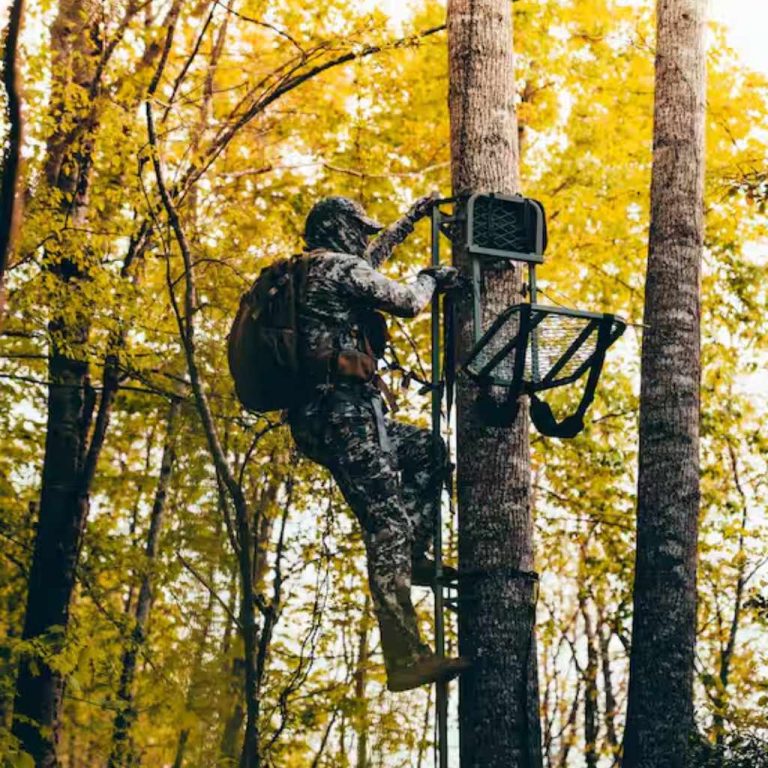 Are Hang-On Tree Stands Safe? Safety Tips & Facts
